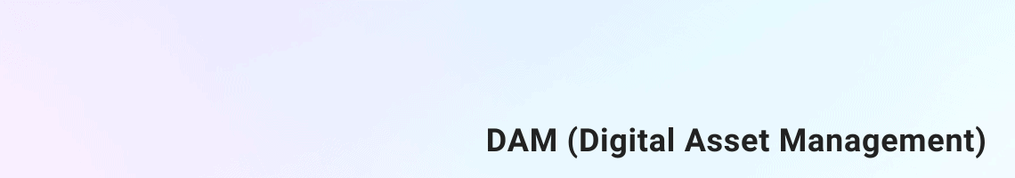 DAM (Digital Asset Management) - Viloud